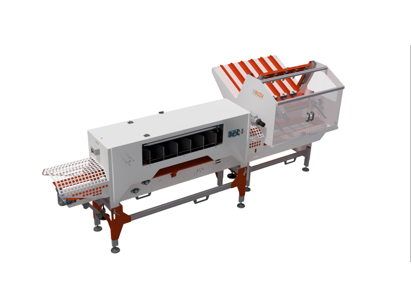 Punnets denesters - REV Packaging Solutions