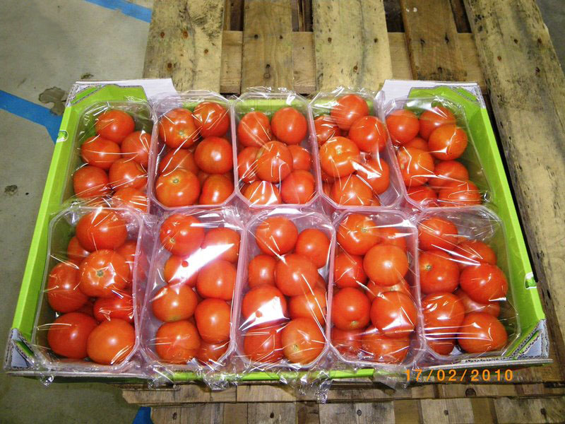 Rooster | Filler of crates with punnets - REV Packaging Solutions